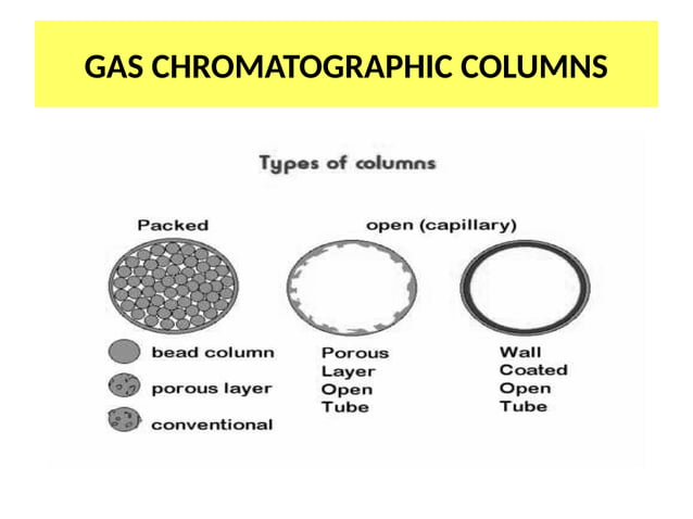 description column for gas chromatography temperature programming.pptx