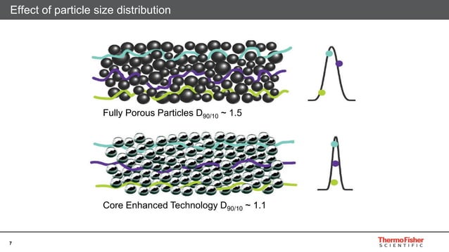 Column selectivity HPLC Vanquish | PDF | Chemistry | Science