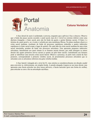 colunavertebral-estudo direcionado para anatomia de coluna vertebra. | PDF