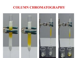 Colunm chromatography | PPT