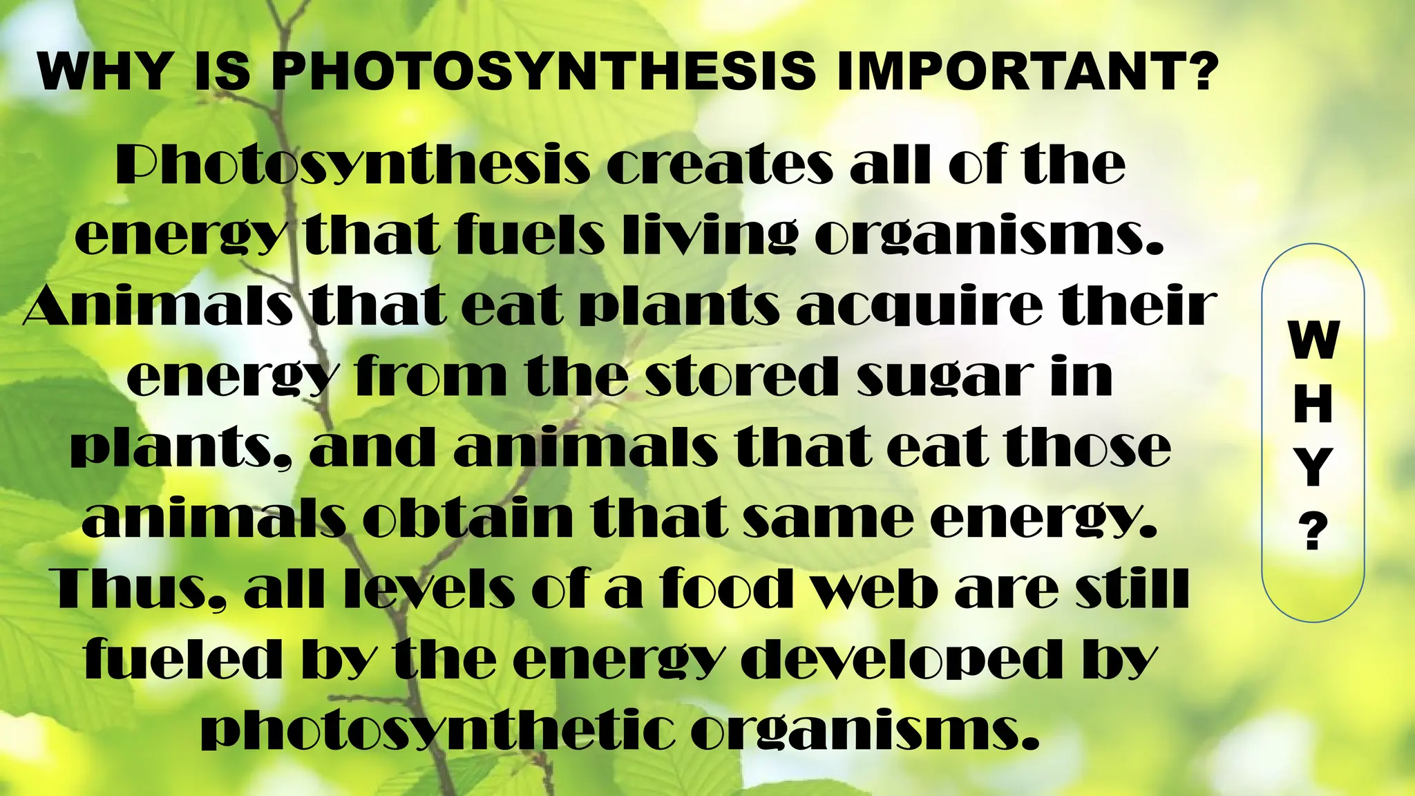 Photosynthesis, Plants,Educational,Care. | PPTX