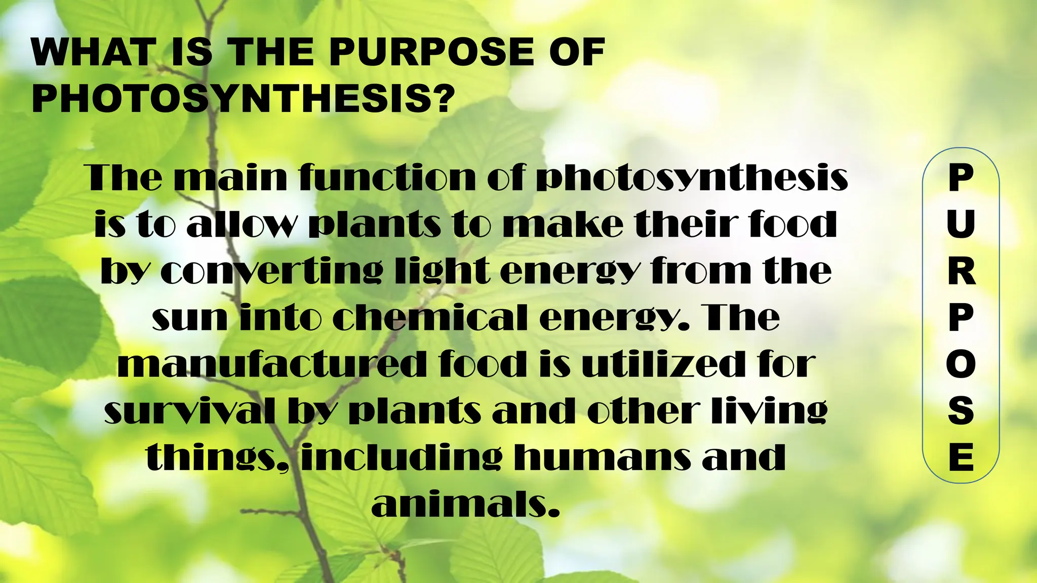 Photosynthesis, Plants,Educational,Care. | PPTX