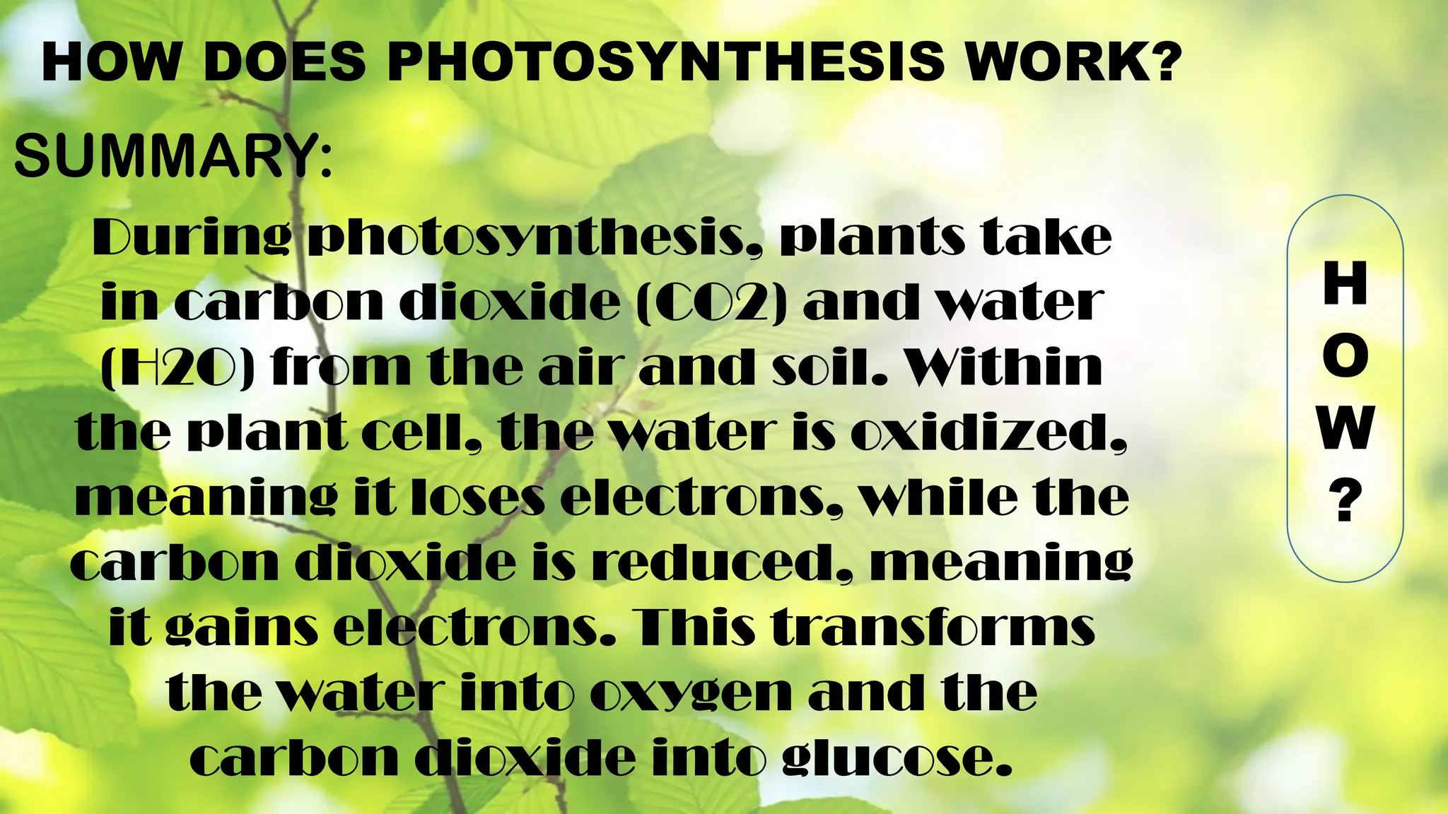 Photosynthesis, Plants,Educational,Care. | PPTX