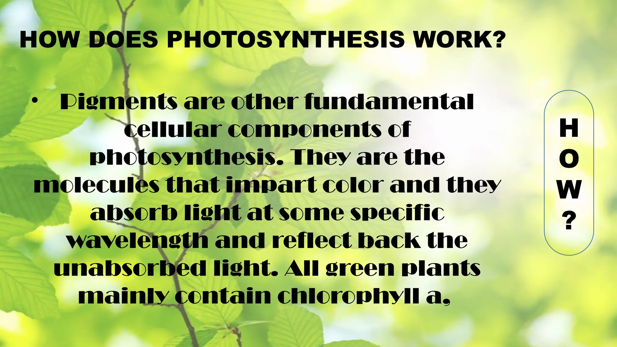 Photosynthesis, Plants,Educational,Care. | PPTX | Chemistry | Science