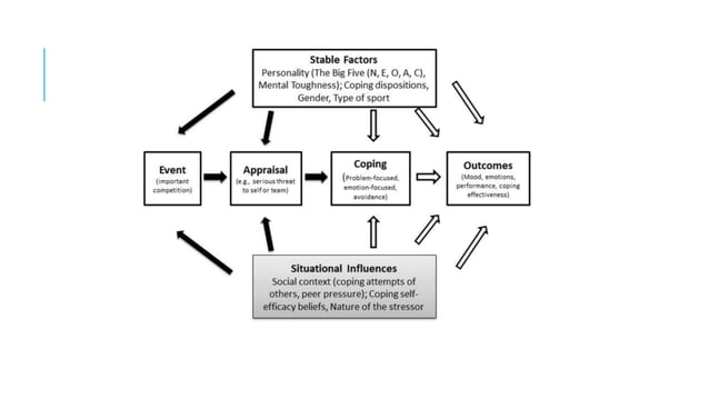 Transactional Model Of Stress And Coping And Language Expectancy Theory Ppt