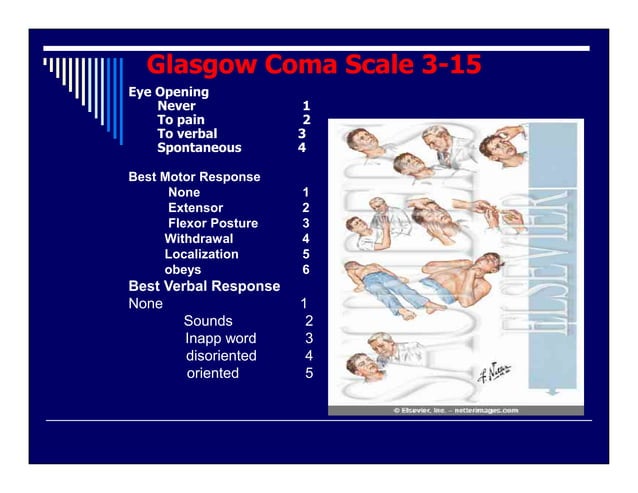 Lecture section...Management of coma | PPT
