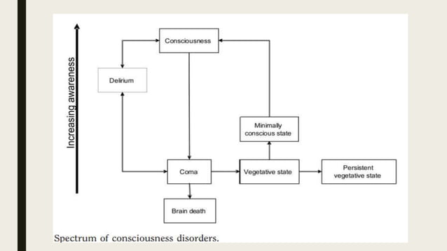 Coma | PPTX | Brain and Nervous System Disorders | Diseases and Conditions