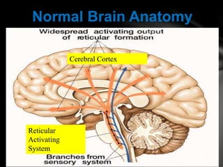 COMA | PPTX | Brain and Nervous System Disorders | Diseases and Conditions
