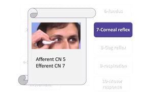 approach to comatose patient | PPTX