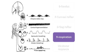 approach to comatose patient | PPT