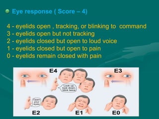Definitions, and approach to Coma | PPTX