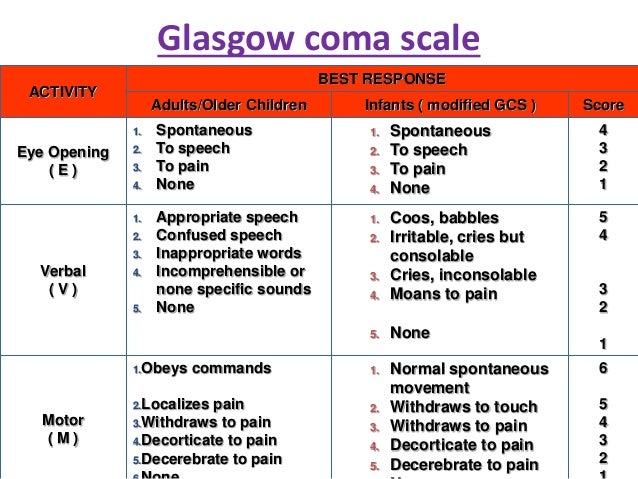Pediatric Glasgow Coma Scale Pdf - extremeprogram