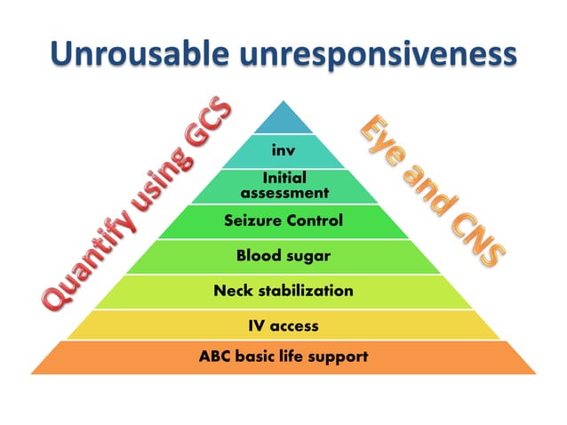 Coma flowchart in adults | PPT