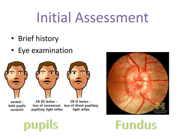 Coma flowchart in adults | PPT