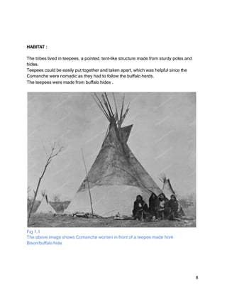 History of Comanche Indians | PPTX