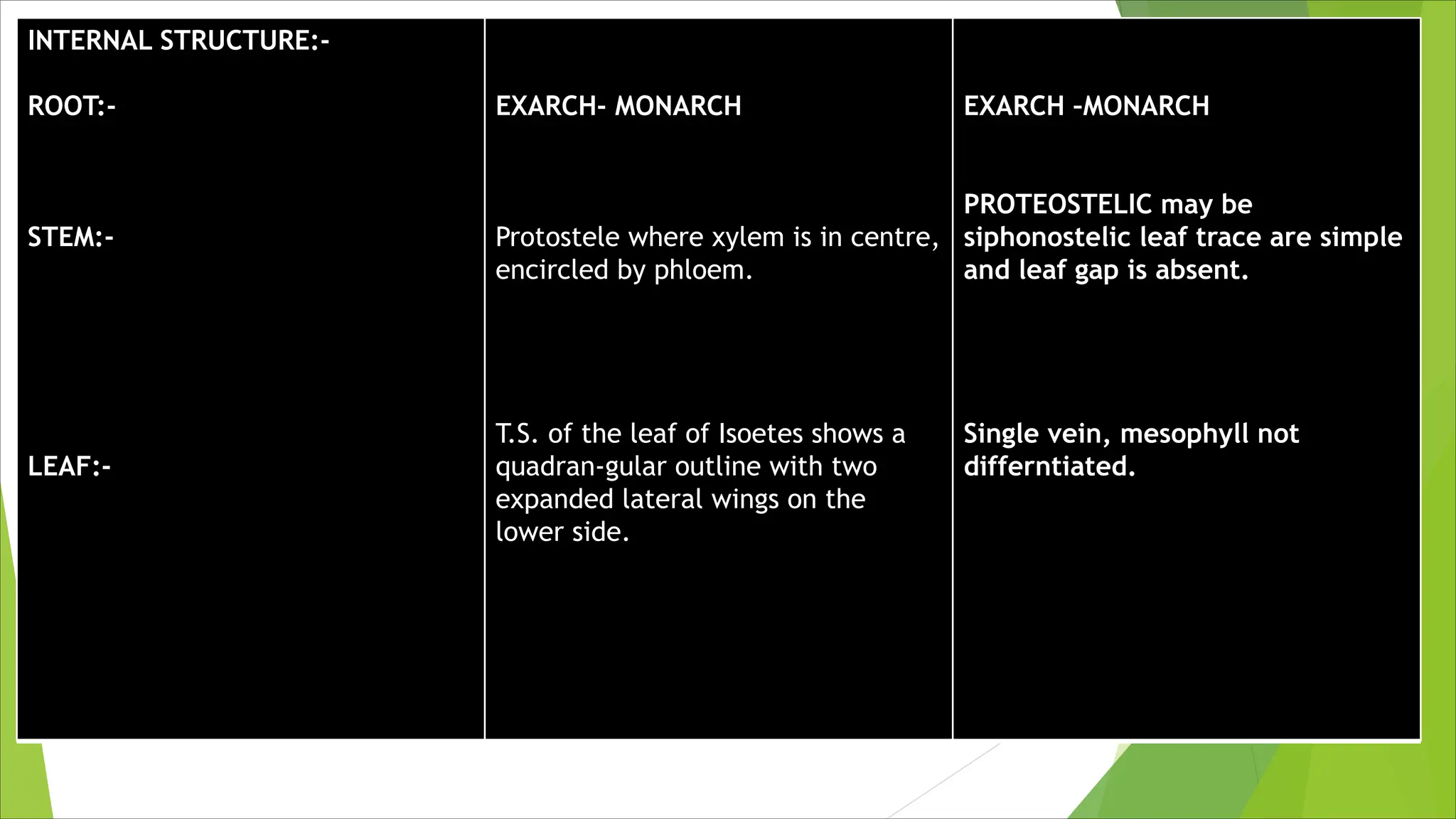 Comparative Accounts of Selaginella And Isoetes | PDF