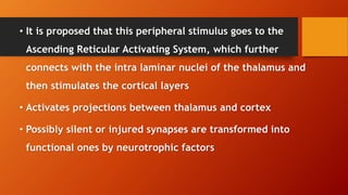coma PPT.pptx slideshare.pptx