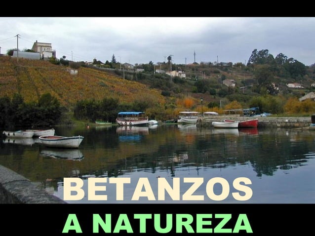 Comarca de Betanzos | PPT