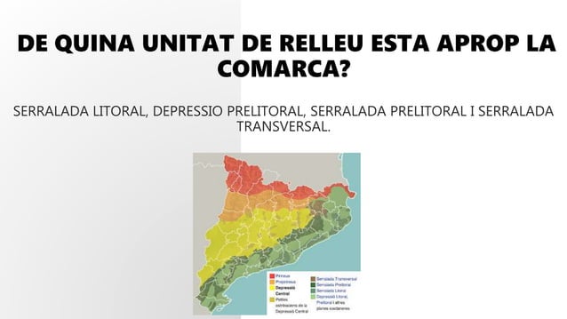 Comarca la selva | PPT