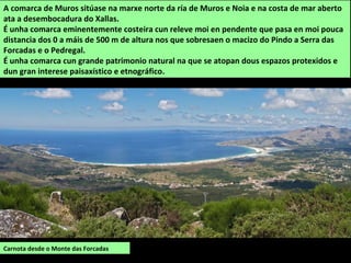 Comarca: Muros | PPT