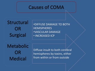 Comatose patient case discussion | PPSX