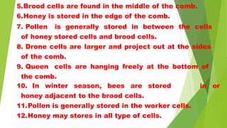 Comb Architecture and Properties of Honey | PPTX