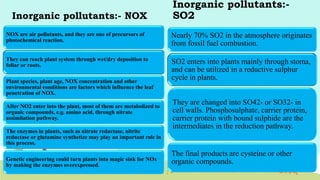 Combat air pollution | PPT