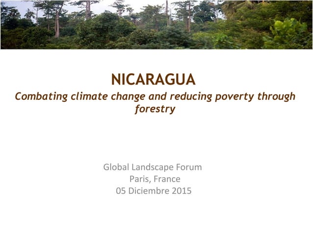 Combating climate change and reducing poverty through forestry | PPT