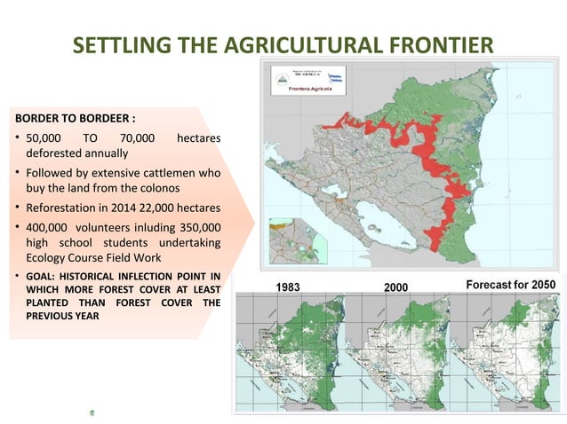 Combating climate change and reducing poverty through forestry | PPT