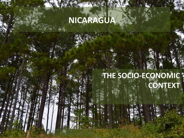 Combating climate change and reducing poverty through forestry | PPT