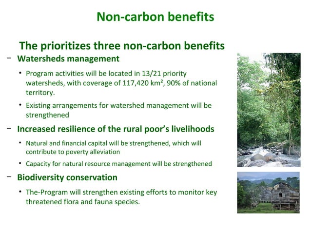 Combating climate change and reducing poverty through forestry | PPT