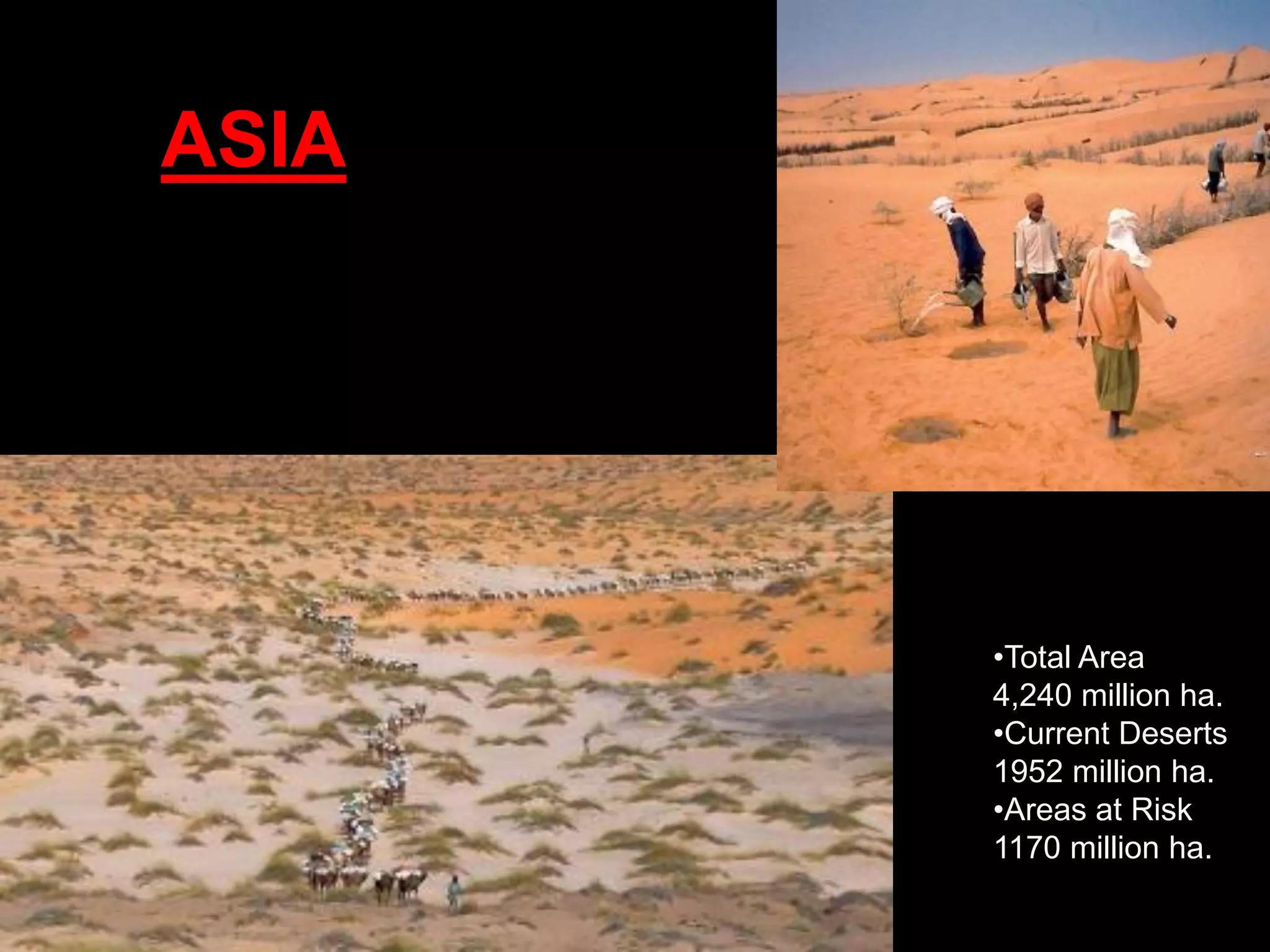 Combating desertification | PDF