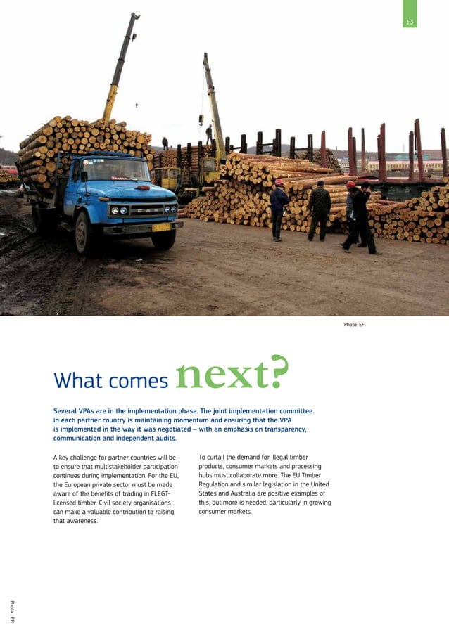 Combating illegal logging lessons from the eu flegt action plan | PDF