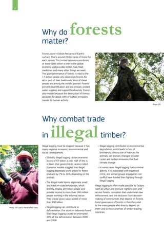 Combating illegal logging lessons from the eu flegt action plan | PDF