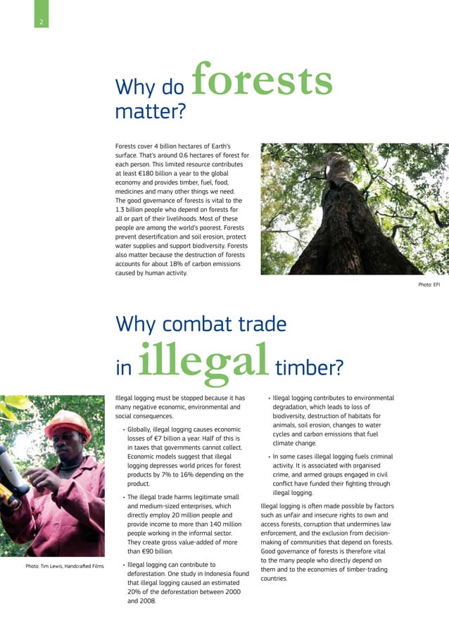 Combating illegal logging lessons from the eu flegt action plan | PDF