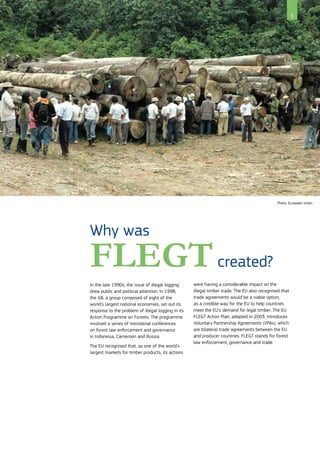 Combating illegal logging lessons from the eu flegt action plan | PDF