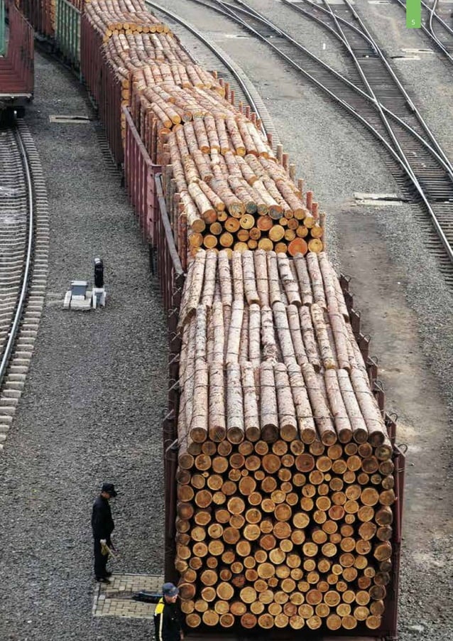 Combating illegal logging lessons from the eu flegt action plan | PDF