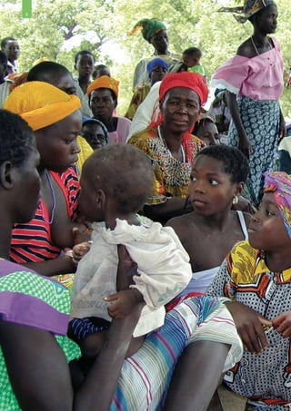 Combating illegal logging lessons from the eu flegt action plan | PDF