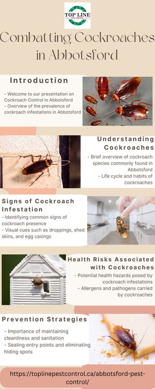 Combatting Cockroaches in Abbotsford.pdf