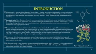 Combination of Ultrasound and Supercritical Carbon Dioxide Extraction ...