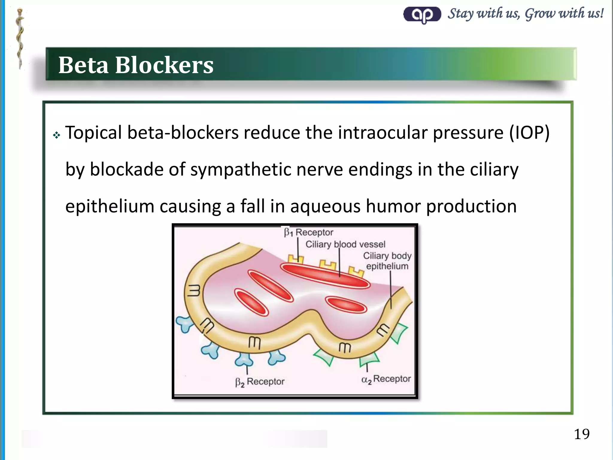 Combination Therapy for Glaucoma Management (1).pptx