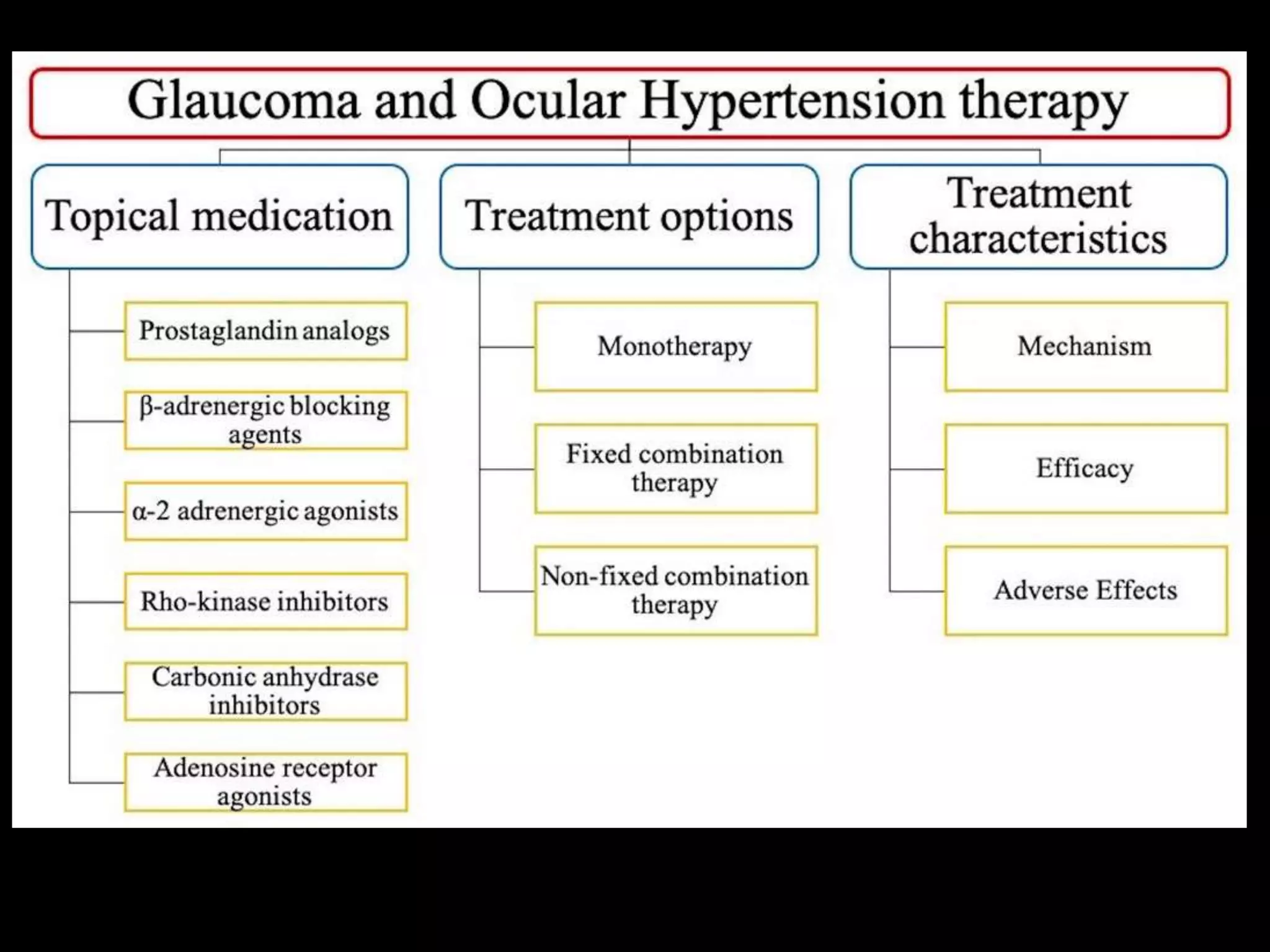 Combination Therapy for Glaucoma Management (1).pptx