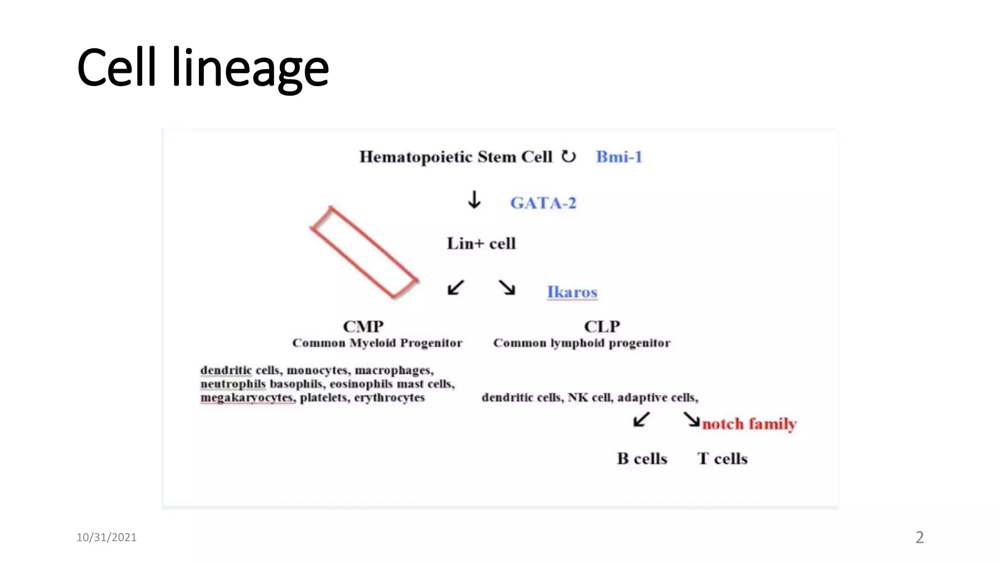 Combination therapy for leukemia | PPTX