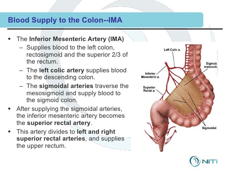 Combined 02 clinical training--anatomy