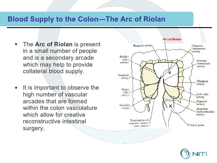 Combined 02 clinical training--anatomy