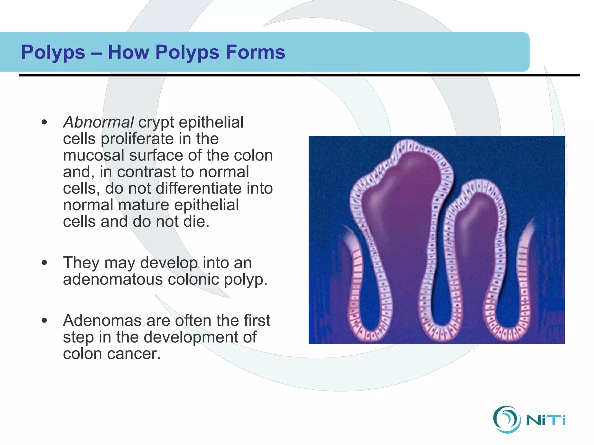 Combined 08 clinical training--pathology pre-malignant_colorectal ...