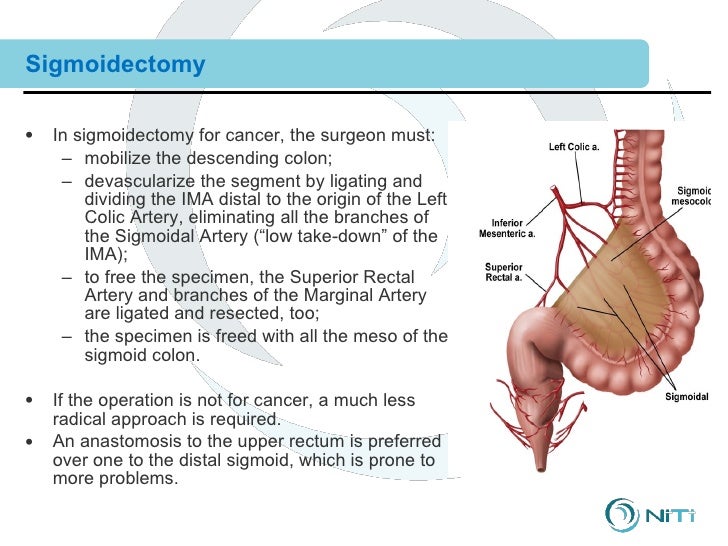 Combined 12 clinical training--surgical procedures