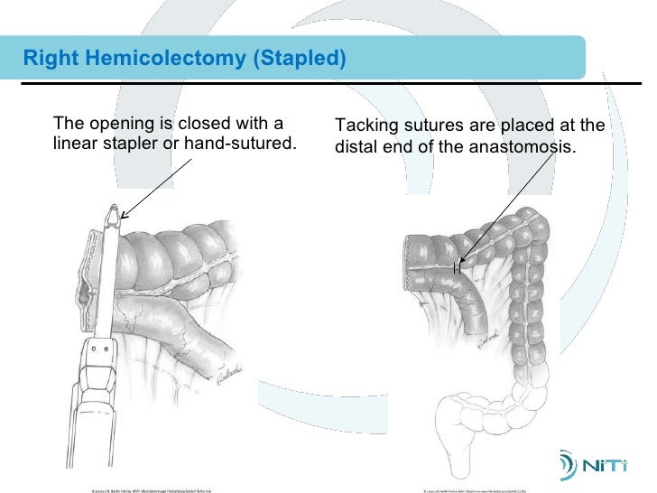 Combined 12 clinical training--surgical procedures