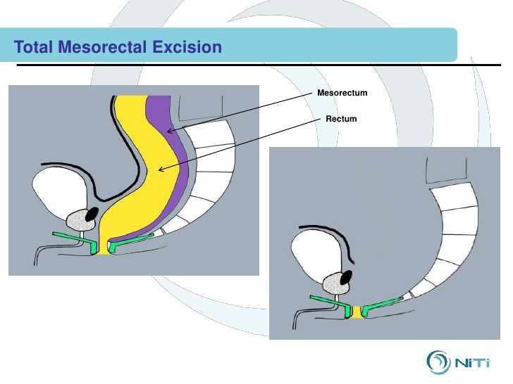 Combined 18 clinical training--rectal surgical principles
