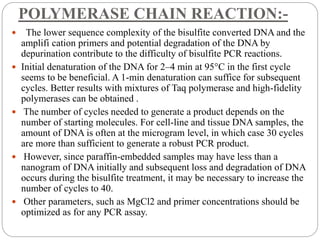 Combined bisulfite restriction analysis (cobra) bisulfite polymerase ...